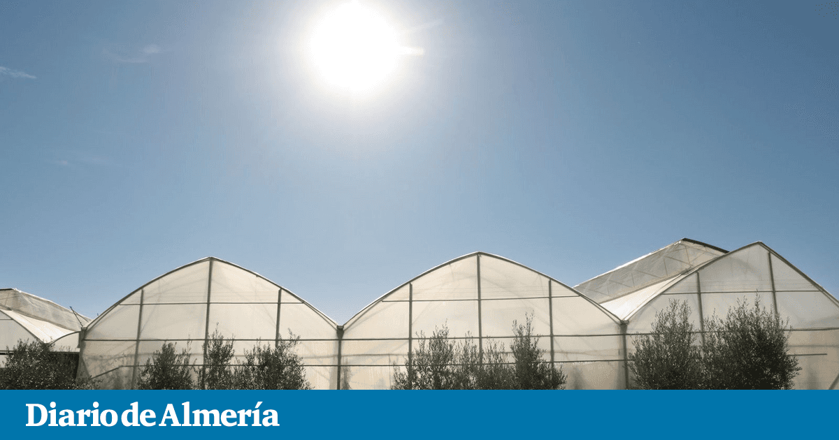 El mar de plástico de Almería como gran huerto solar, a tiro en año y medio