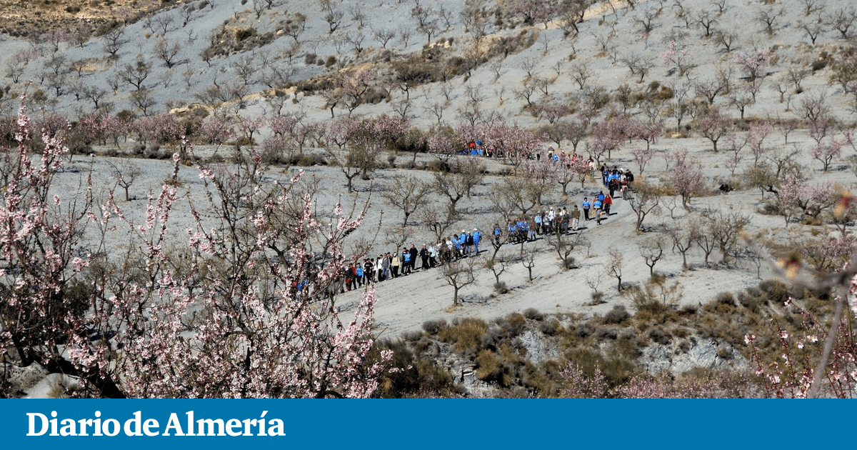 Diez rutas de los almendros en flor por la provincia de Almería