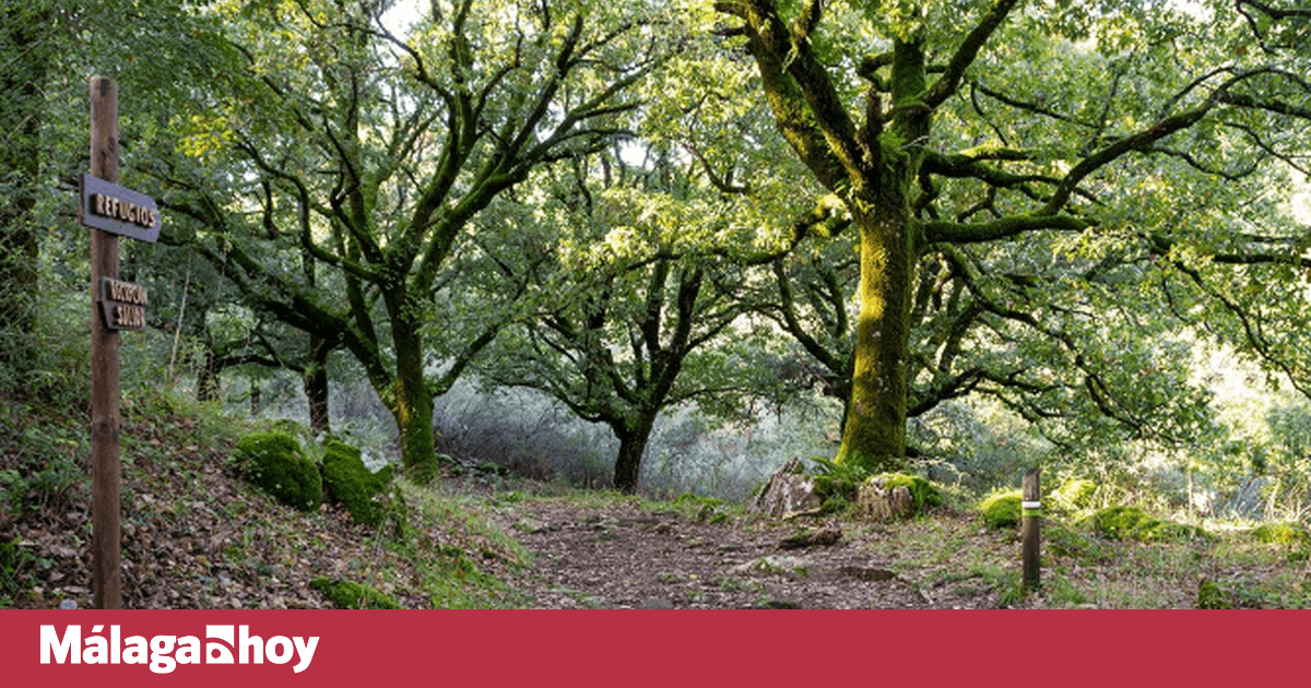 Dos de los diez senderos más bonitos de España están en Málaga