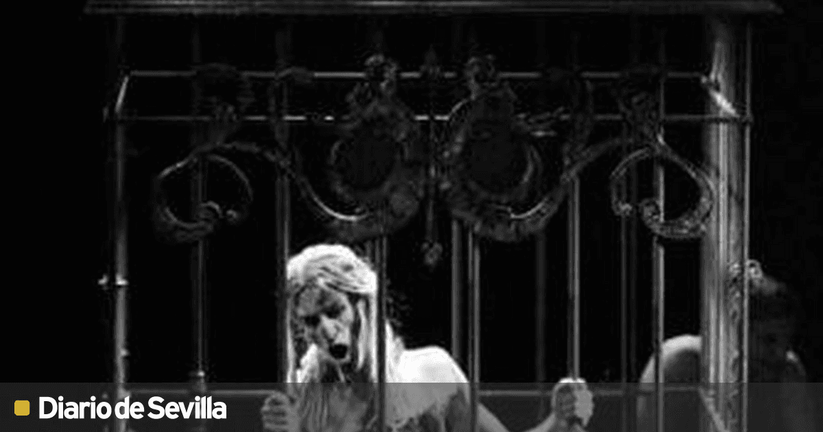 Soñando la realidad