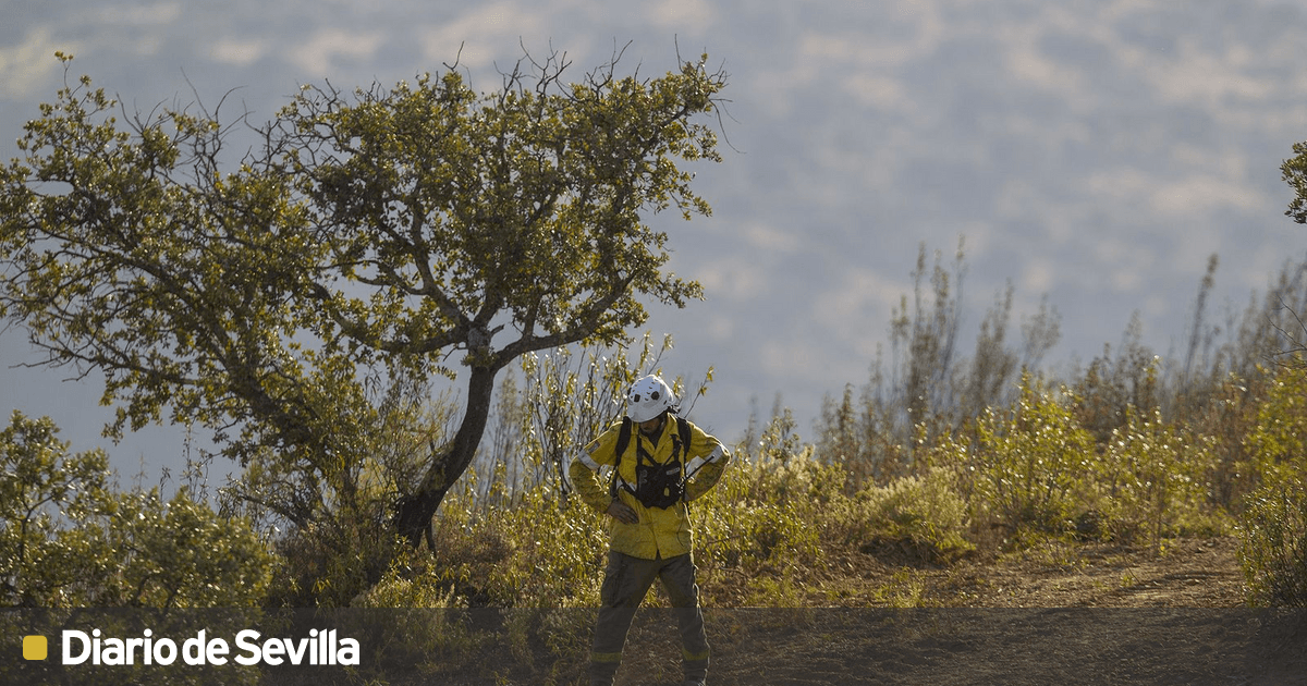 El incendio forestal de El Ronquillo, en imágenes