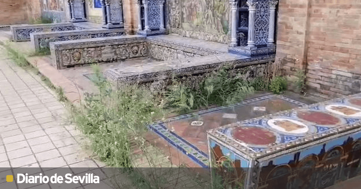 Video: Dejadez en la Plaza de España