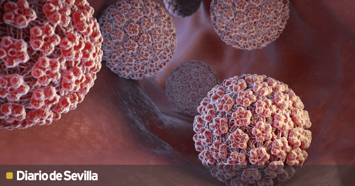 Las otras formas de transmisión del VPH y su relación en el cáncer de piel