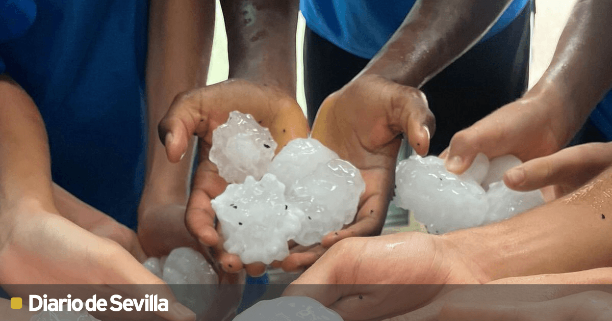 Estos son algunos de los principales daños que puede causar una ...