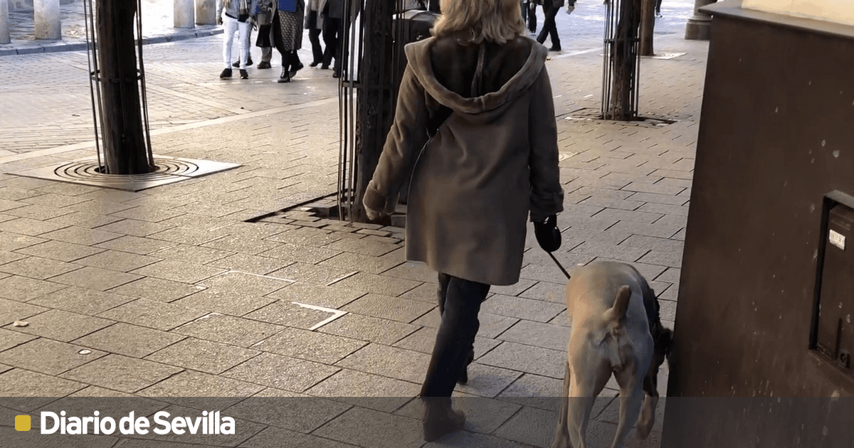 Video: "Recoja la mierda de su perro. Es su obligación y es denunciable"