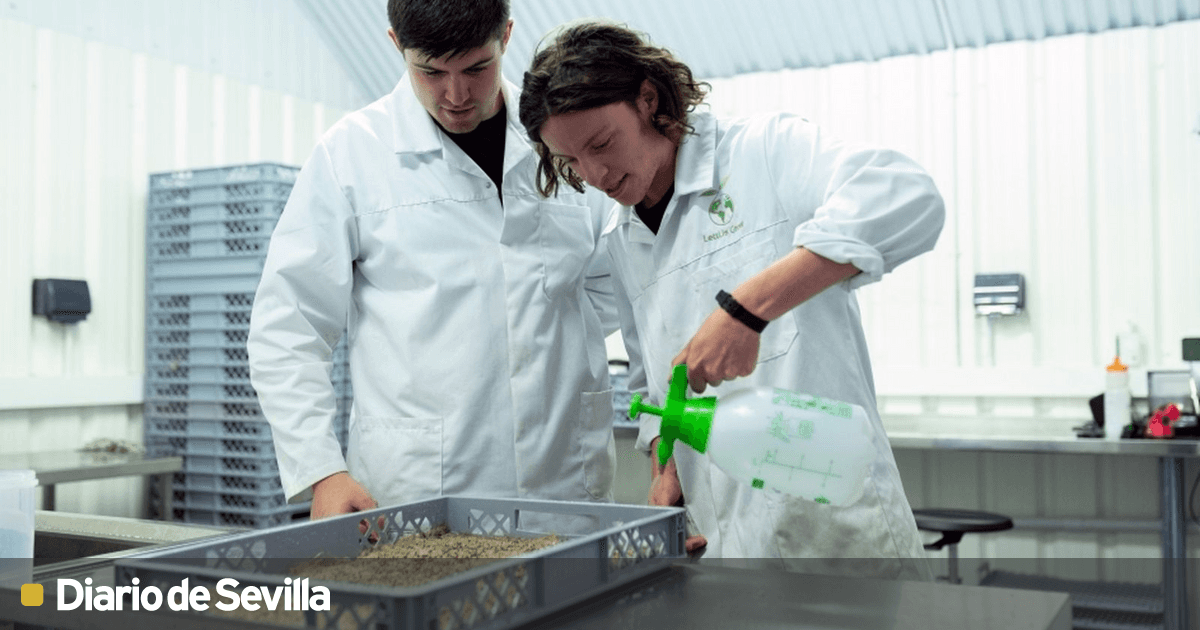 La Fundación Daniel y Nina Carasso abre la segunda edición de la Daniel ...