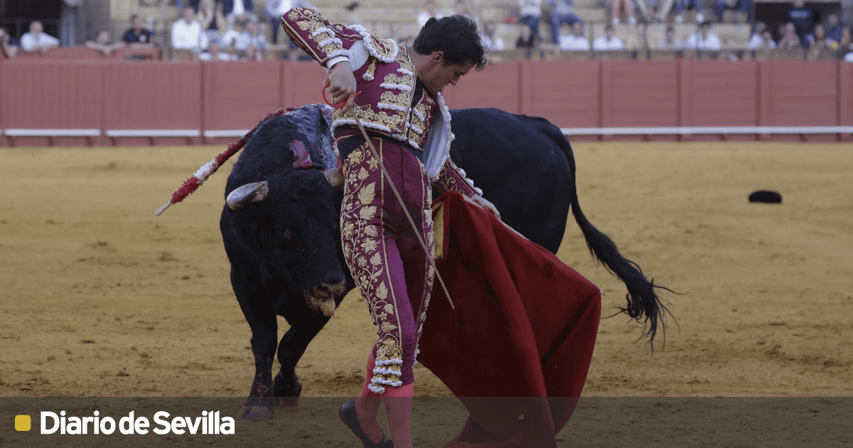 Video: Así fue la faena de Daniel Luque al toro 'Príncipe' en la Feria ...