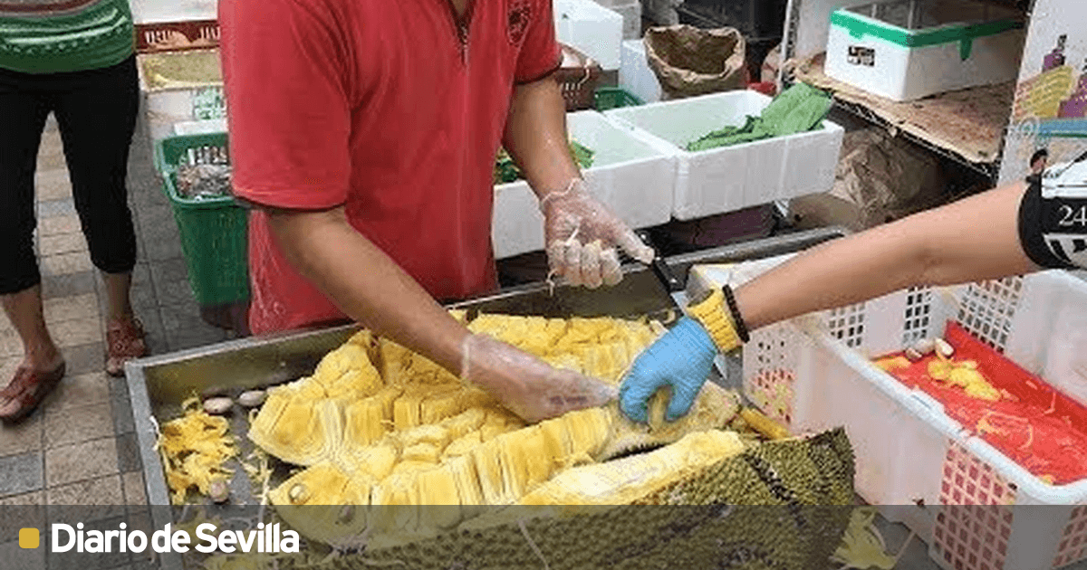 Video: Postre de grillos y carne de yaca: Singapur se lanza a la comida ...