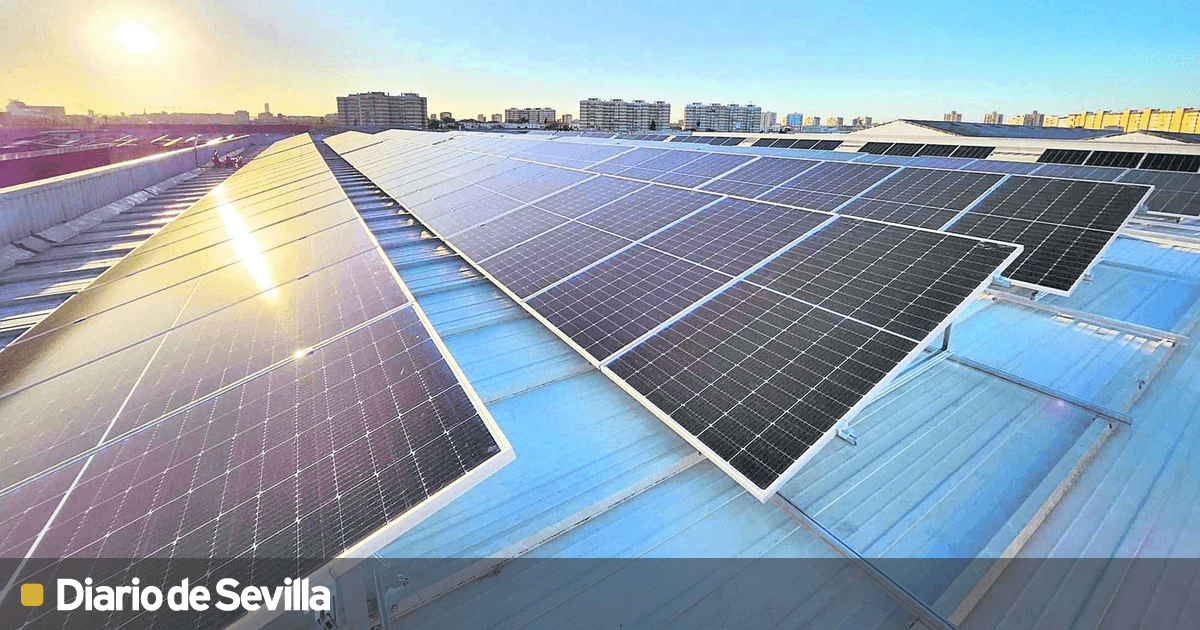 Social Energy® crece un 70% y se consolida como líder en energía ...