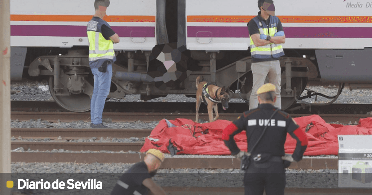 Las hipótesis que se abren sobre el caso de Álvaro Prieto tras hallarse ...