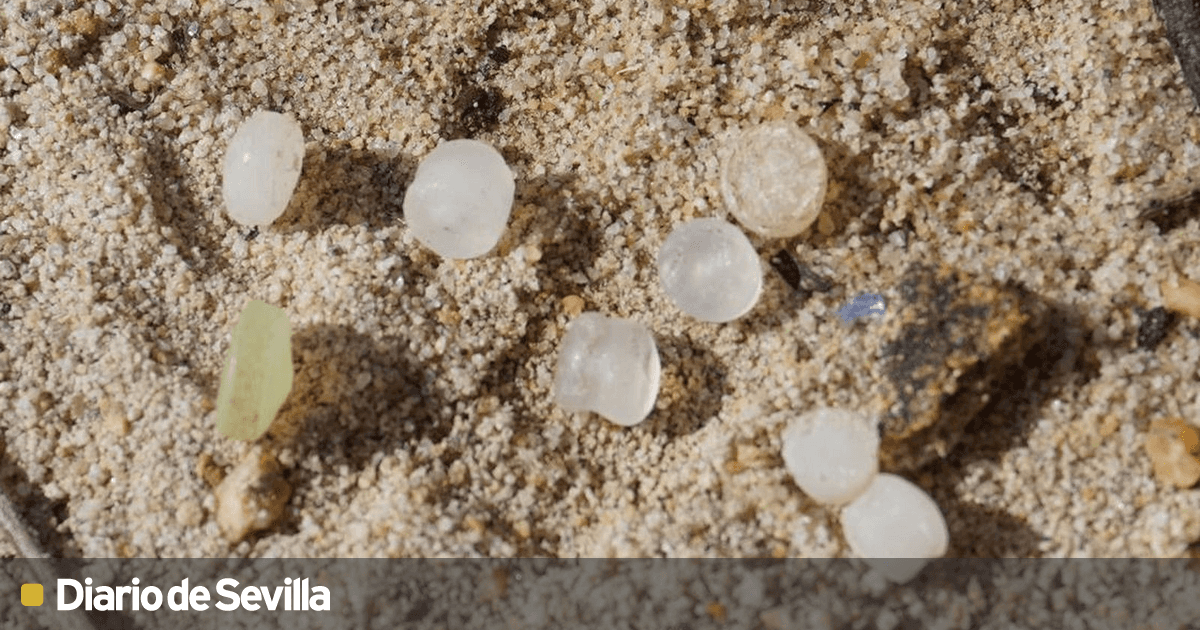 El vertido de pellets, en memes