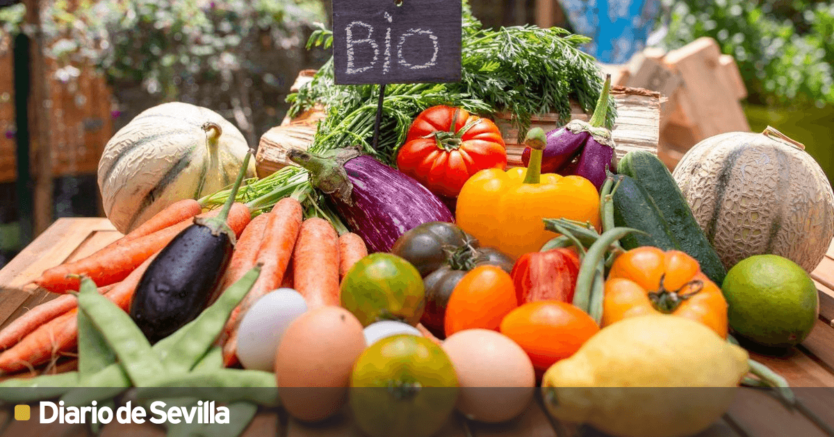 Cómo distinguir un producto bio en el supermercado y qué beneficios tiene