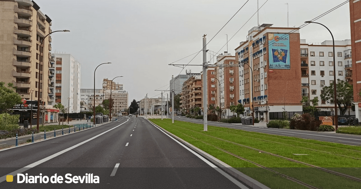 Estas son las líneas de Tussam que se desvían por el corte de Eduardo ...