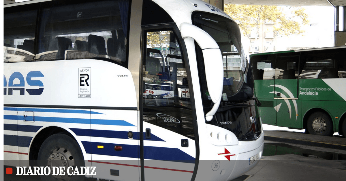 Damas abre una nueva ruta de bus para dar respuesta a medio centenar de ...