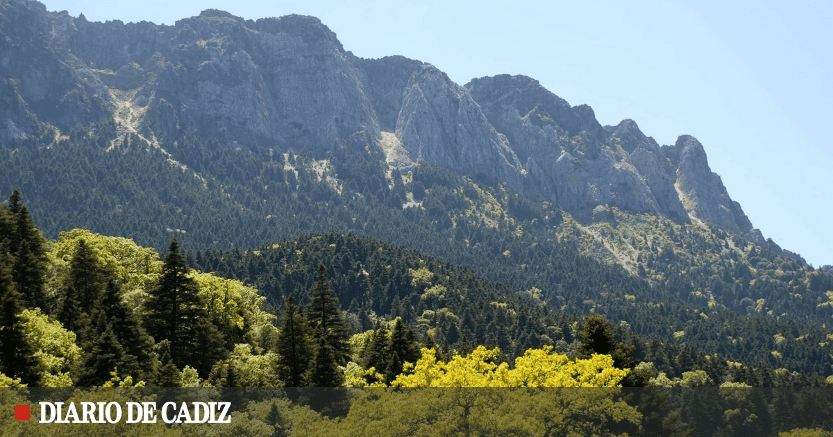 Los mejores alojamientos rurales de Cádiz para una escapada este otoño