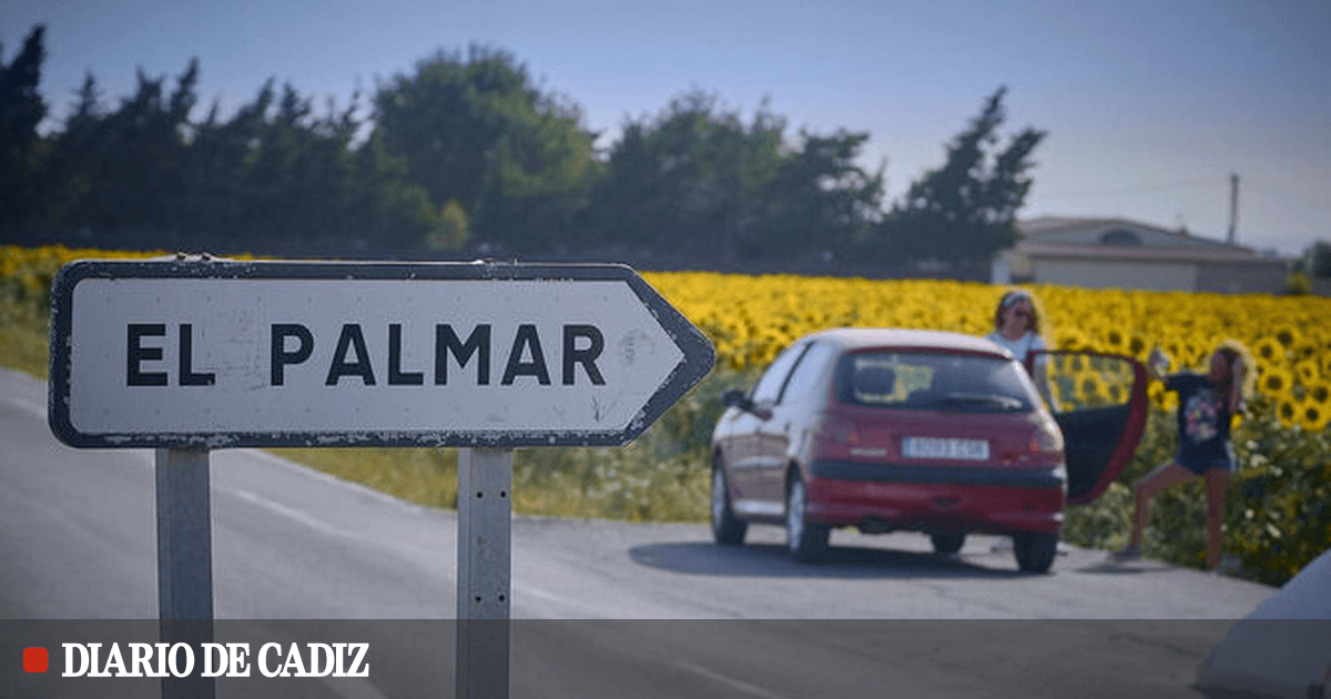 Dónde comer bien en El Palmar