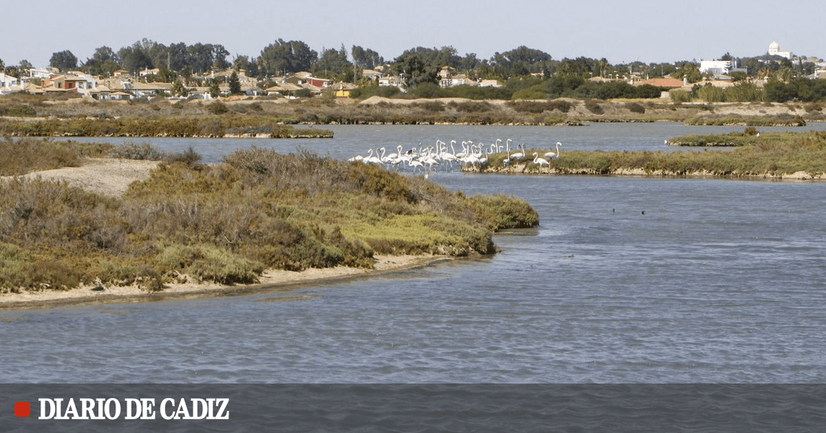 Un sendero ideal en Chiclana para disfrutar con niños después del cole