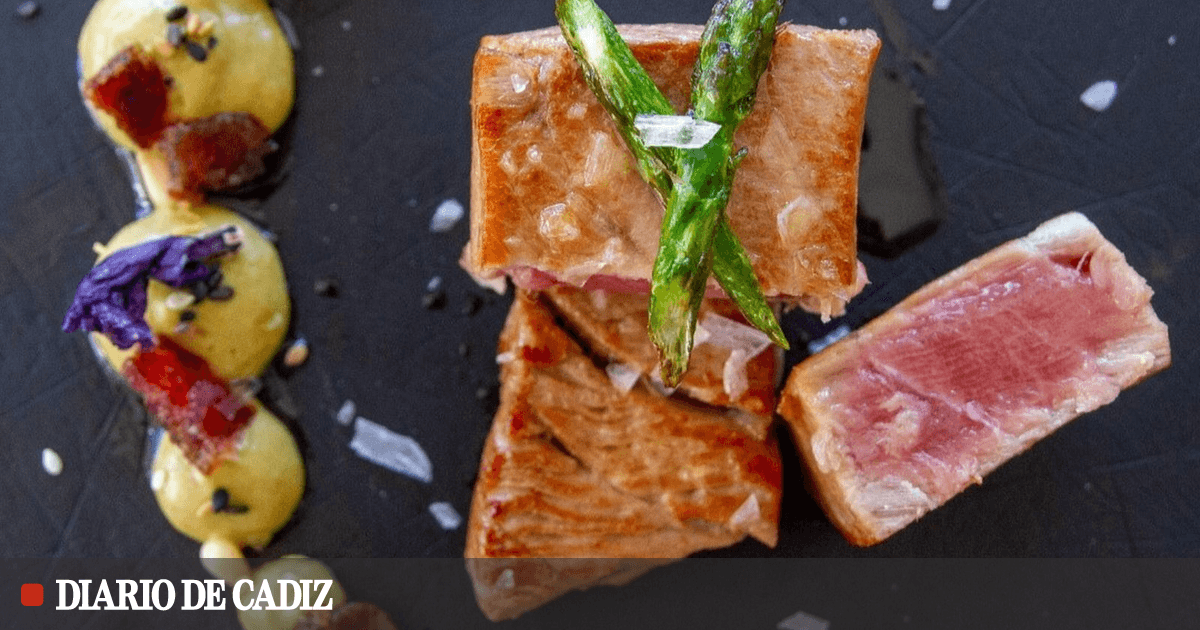 Todos los bares y tapas de la Ruta del Atún 2024 en Barbate