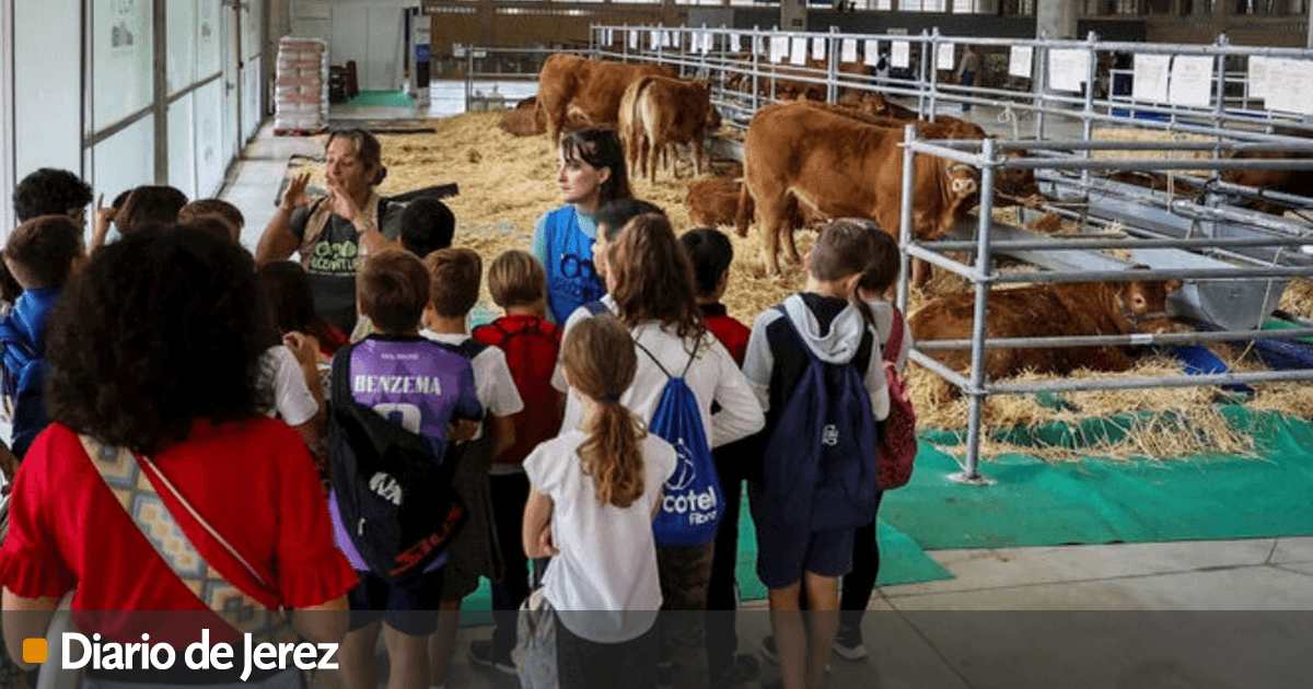 El ganado retinto recibirá por primera vez ayudas de la Junta