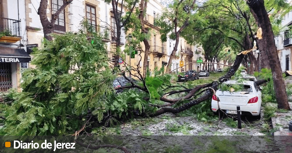 Jerez cifra en un millón de euros los daños por la borrasca Bernard y ...