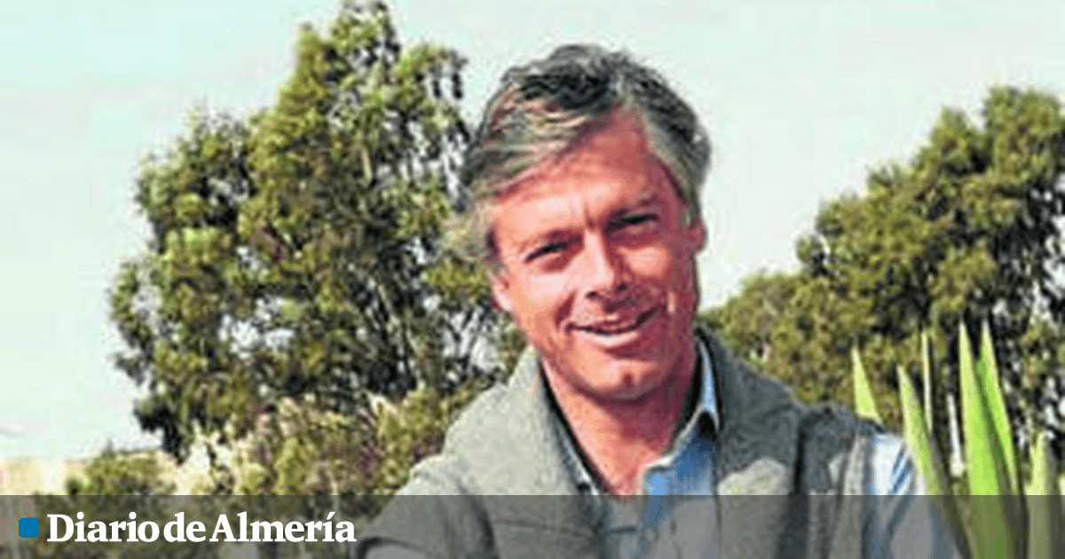 Acondicionan el polivalente para potenciar El Toyo con congresos