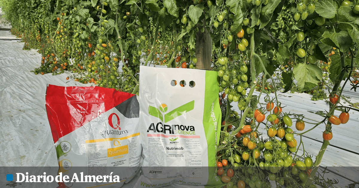 Quantum flower incrementa la floración y el cuajado de los cultivos