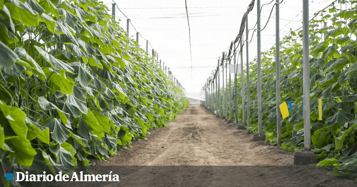 Viagro apuesta por invertir en I+D para ofrecer soluciones adaptadas al ...