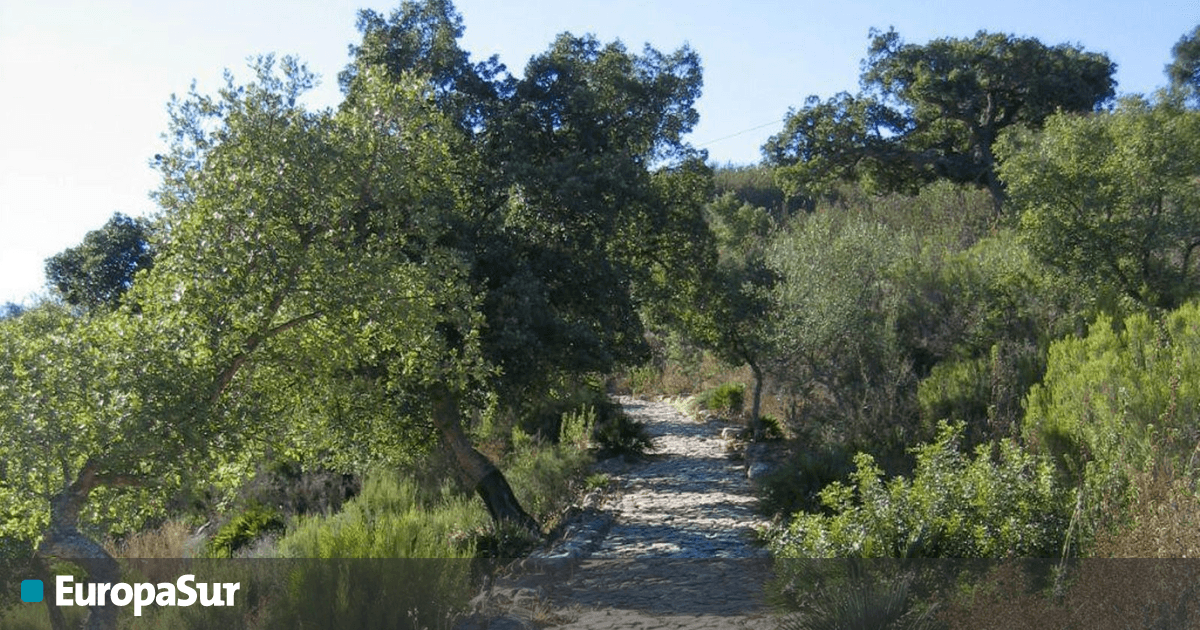 La dehesa La Boyal, una propiedad con historia en Castellar