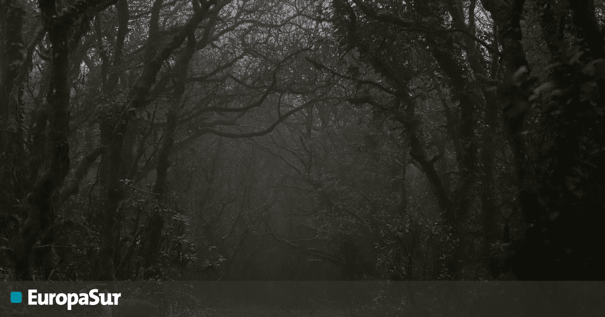 Una ruta por el Bosque de Niebla, uno de los lugares más espeluznantes ...