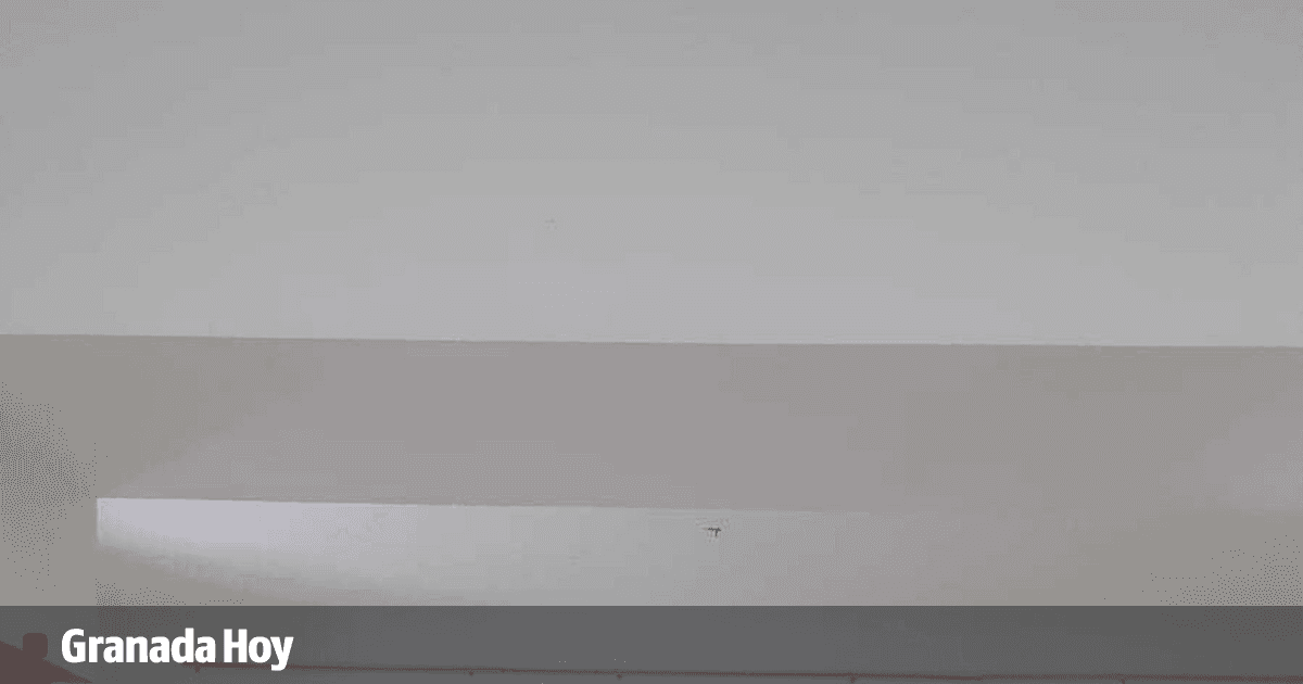 Montefrío acoge la exposición ‘Metafísica’ del pintor granadino ...