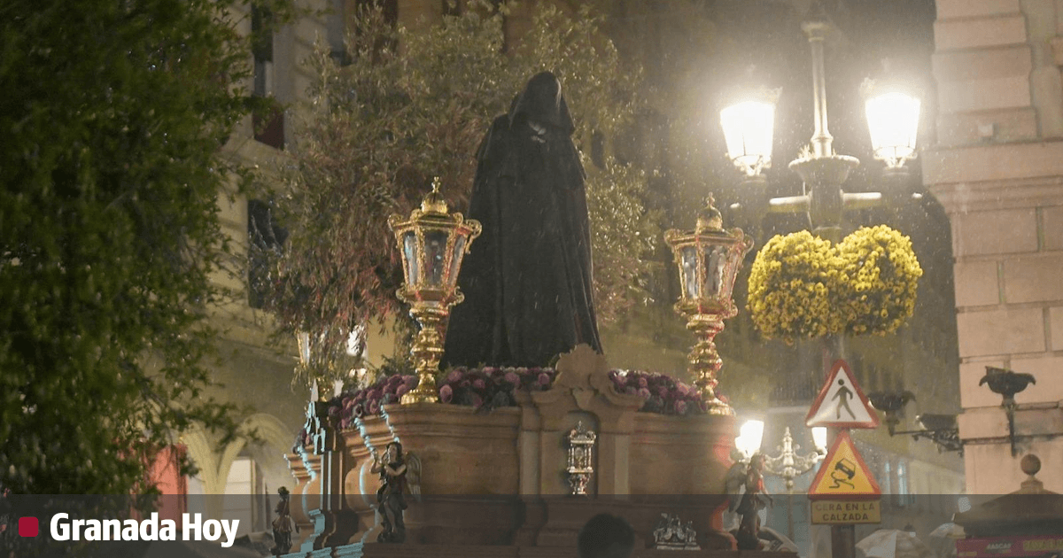 Video: Semana Santa de Granada | El Domingo de Ramos, en directo: el ...
