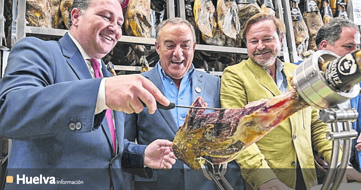 David Toscano: “Binómico es el espejo en el que Huelva refleja su rica ...