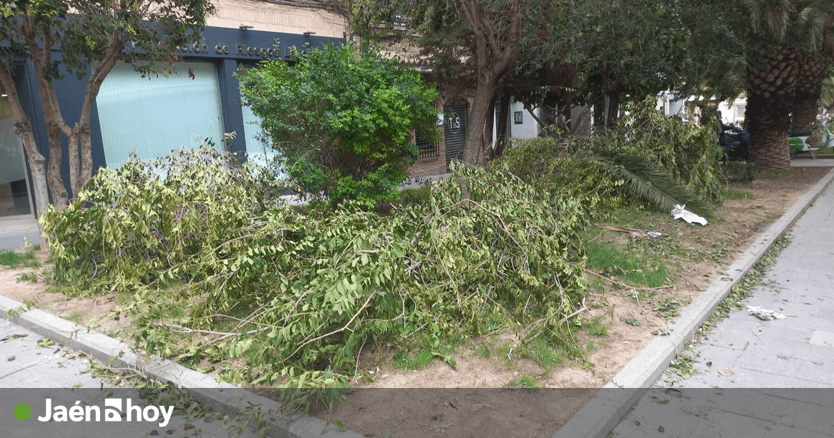 Video: La borrasca Bernard en Jaén: barrio a barrio