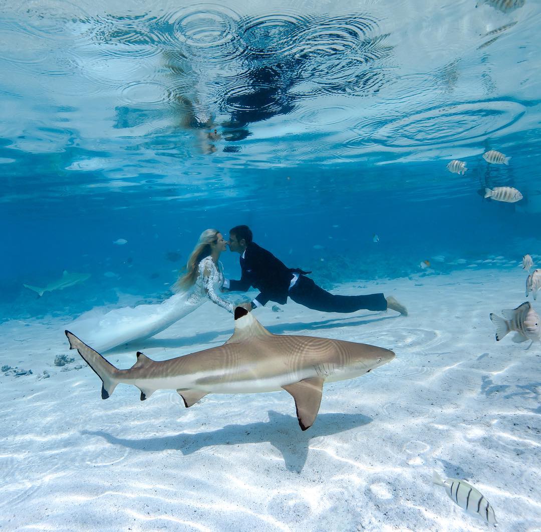 Juan Oliphant y Ocean Ramsey: un matrimonio con tiburones