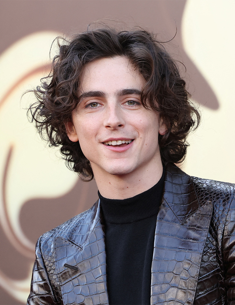 El Saint-Étienne es el gran amor de Timothée Chalamet, estrella de ...